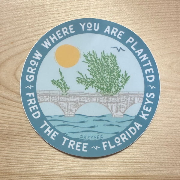 Scholarship Sticker - Fred the Tree 3” Circle Aqua – Bayshore Clothing